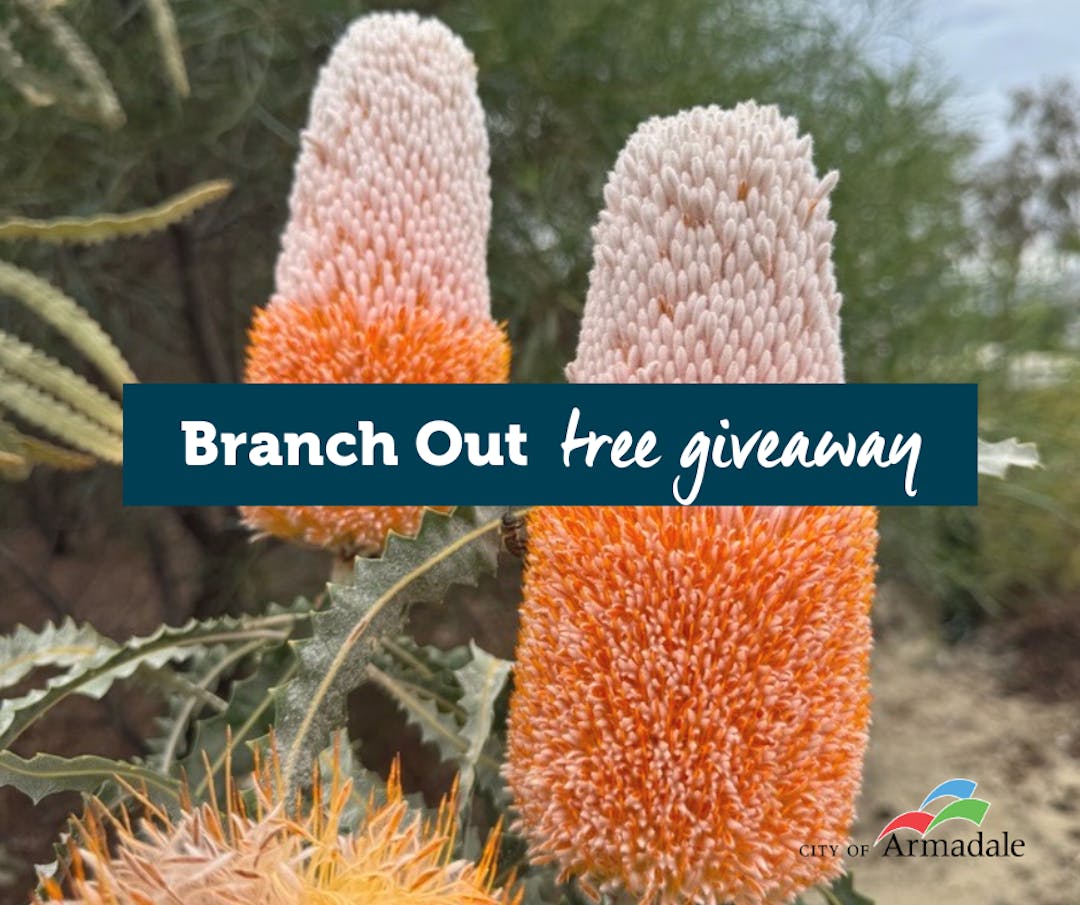 Branch Out 2025 - Tree Giveaway | Engage Armadale